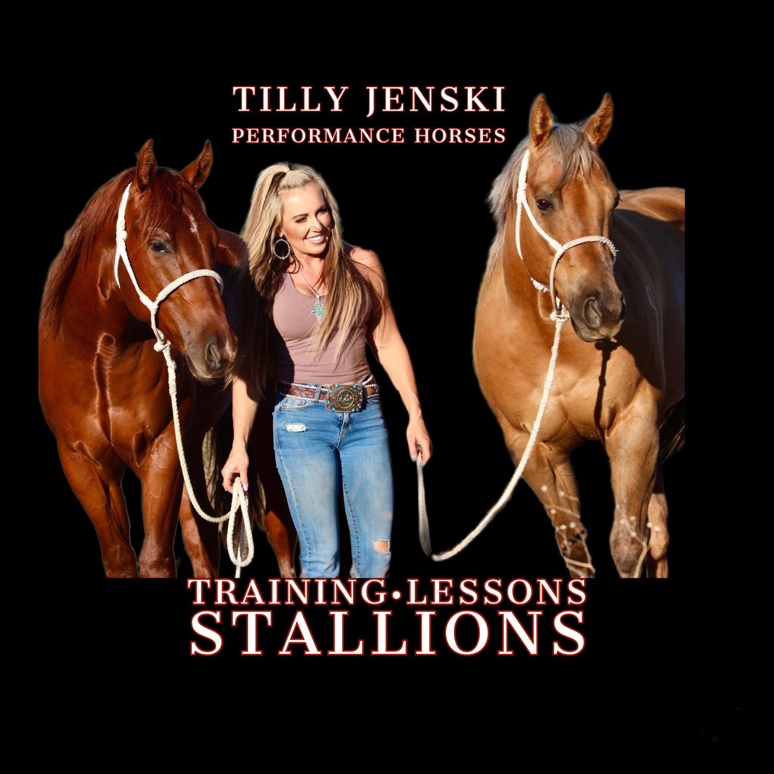 TILLY JENSKI PERFORMANCE HORSES
